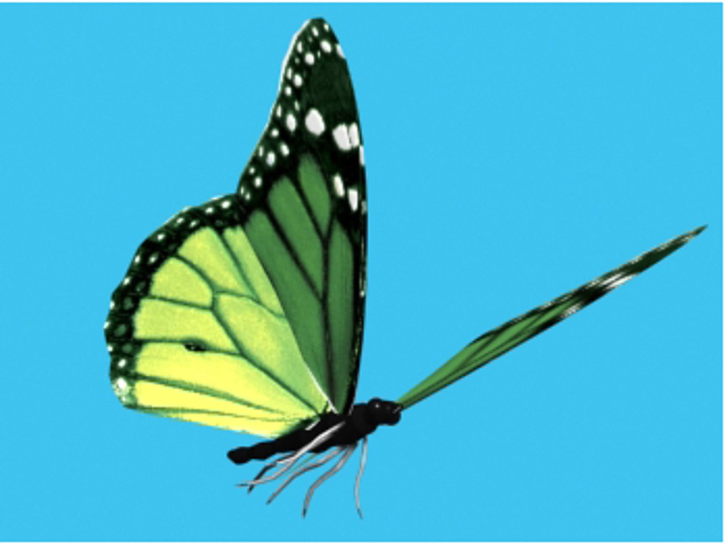 Butterflies Particle Animation 3d Model