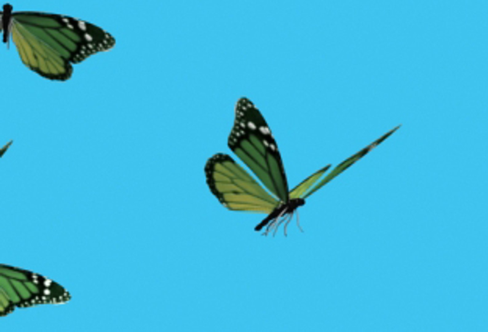 Butterflies Particle Animation 3d Model