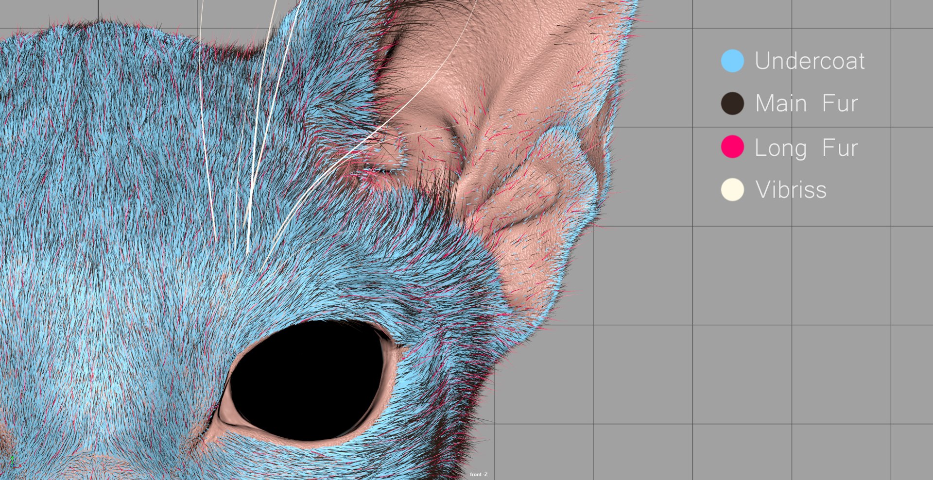 Cat White Fur Shorthair Animated XGen Core 3D model - TurboSquid 1766868