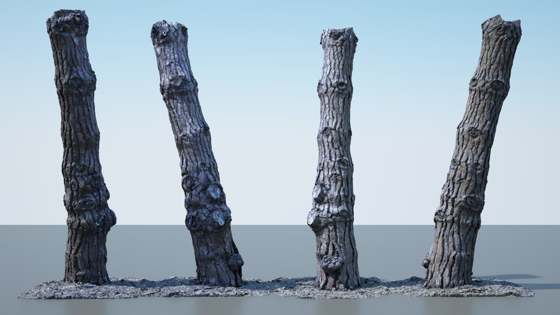 3D Tree Trunk - - TurboSquid 1442646