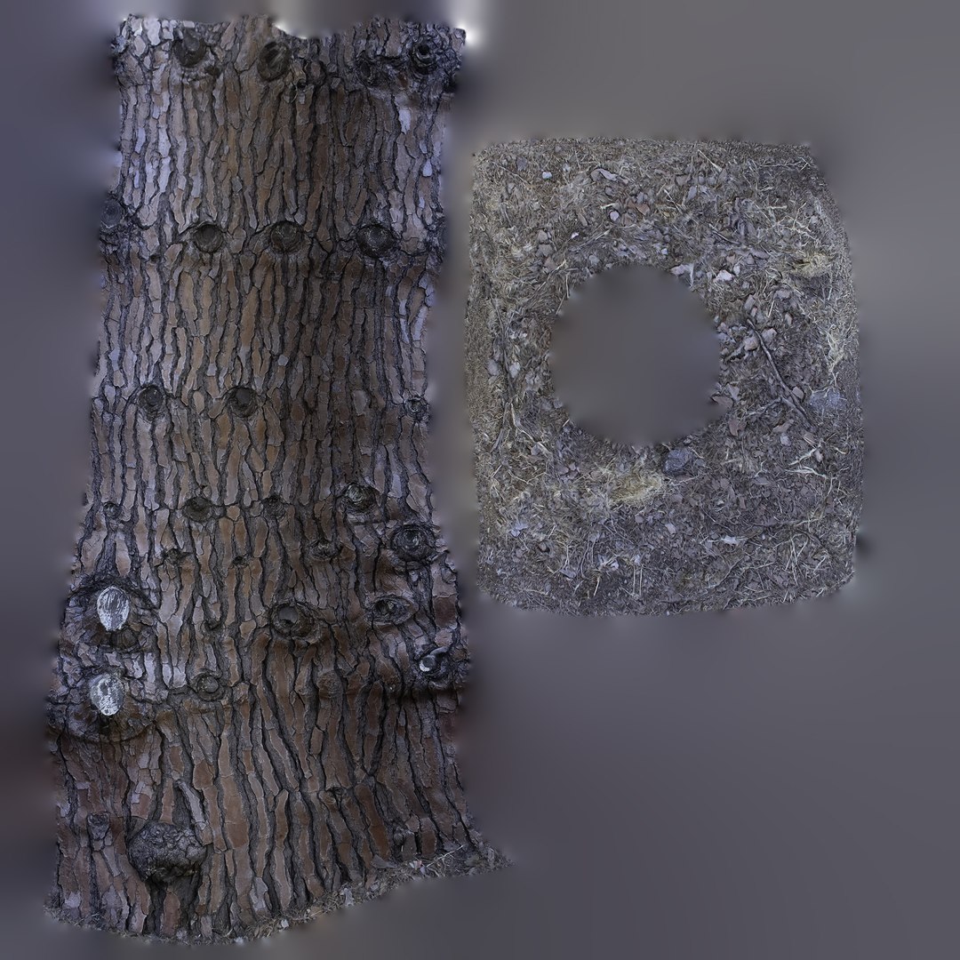 3D Tree Trunk - - TurboSquid 1442646