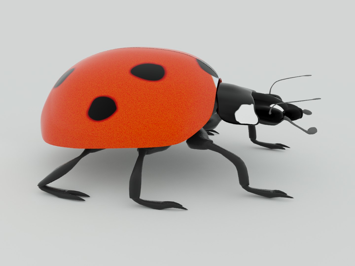 3d ladybird model