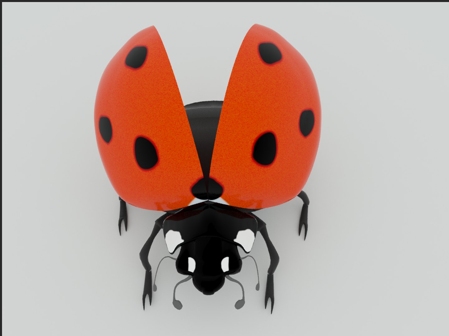 3d ladybird model