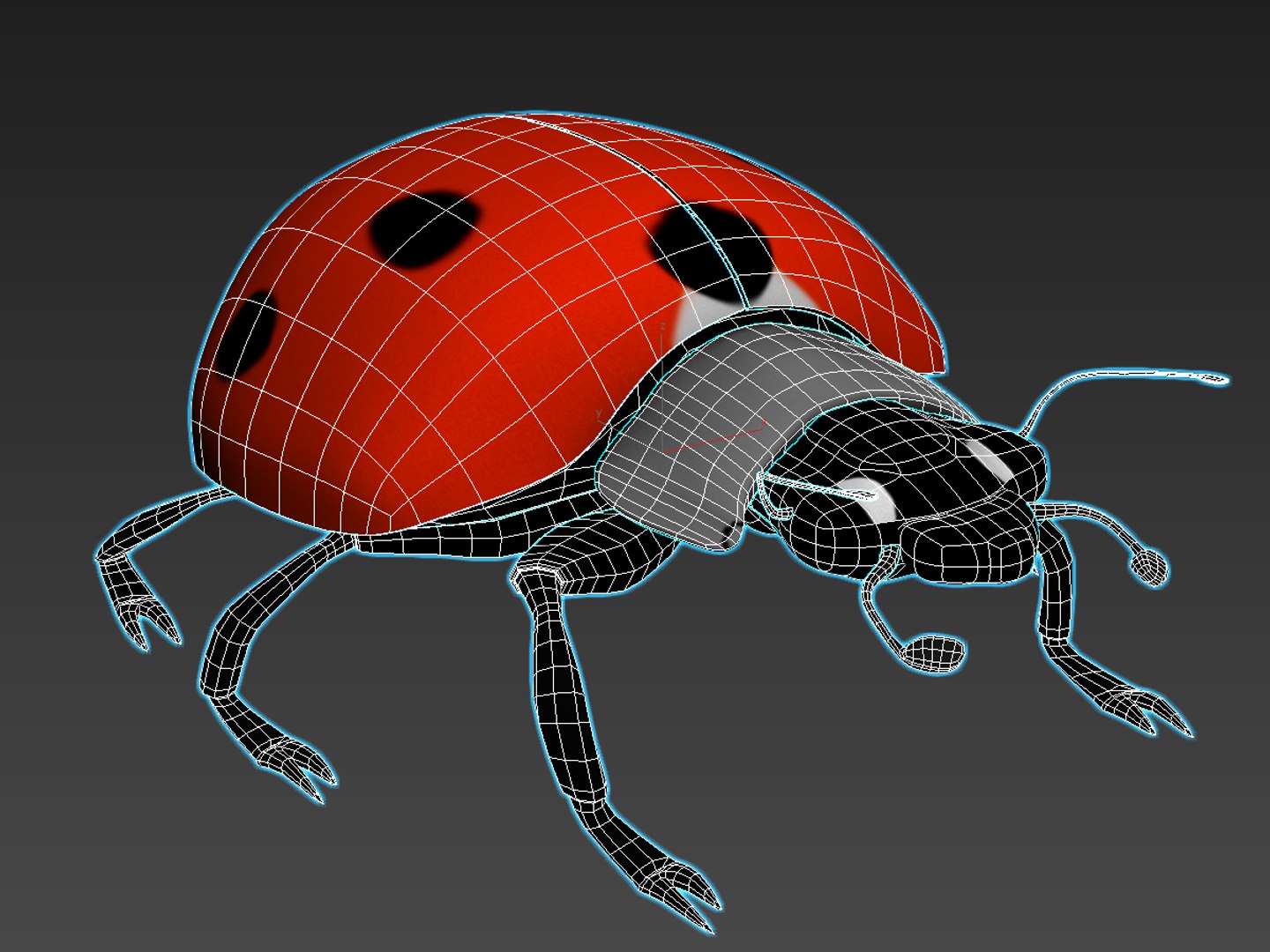 3d ladybird model