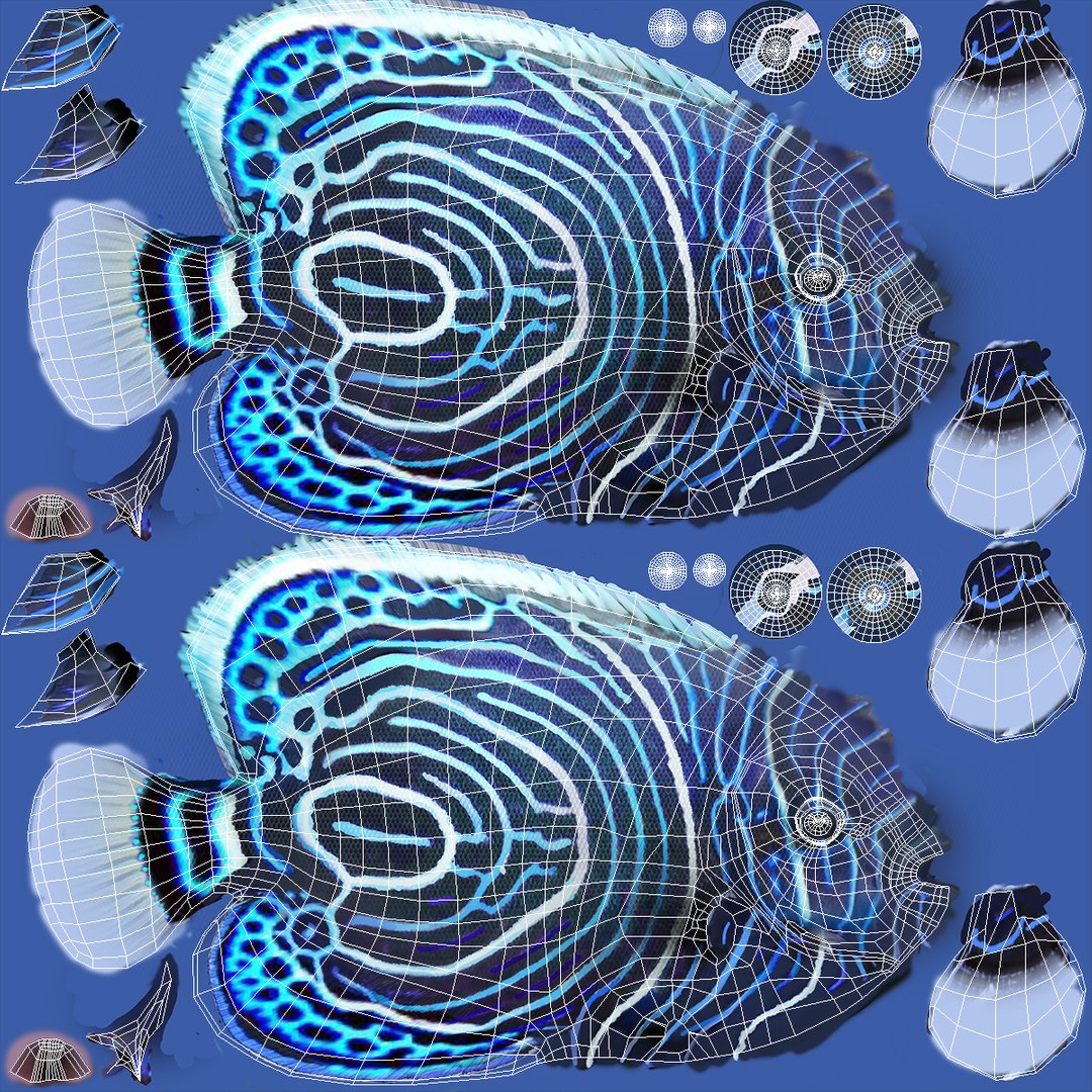 3D Emperor Angelfish Or Pomacanthus Imperator Model - TurboSquid 2270564