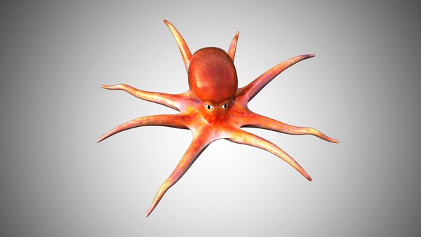 3D aquatic animal water - TurboSquid 1606686