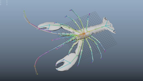 3D aquatic animal water - TurboSquid 1606686