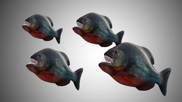3D aquatic animal water - TurboSquid 1606686