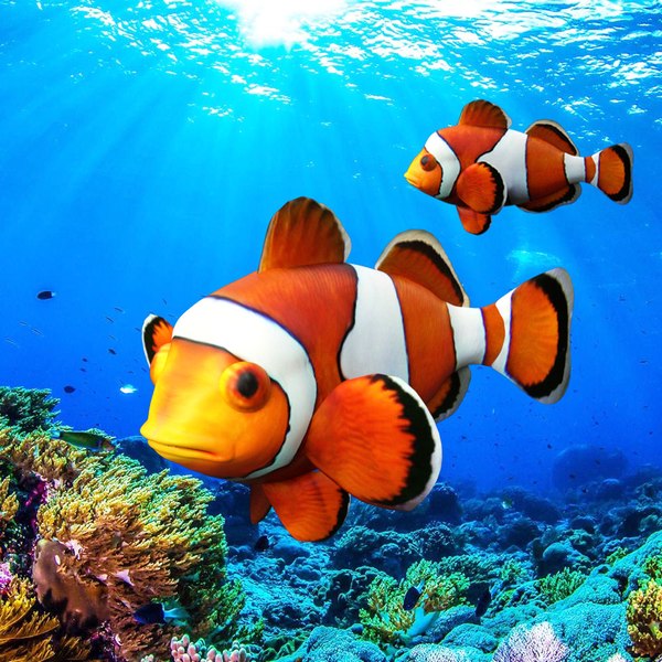 3D aquatic animal water - TurboSquid 1606686