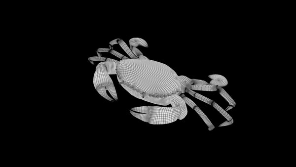 3D aquatic animal water - TurboSquid 1606686