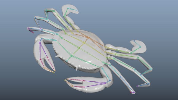 3D aquatic animal water - TurboSquid 1606686