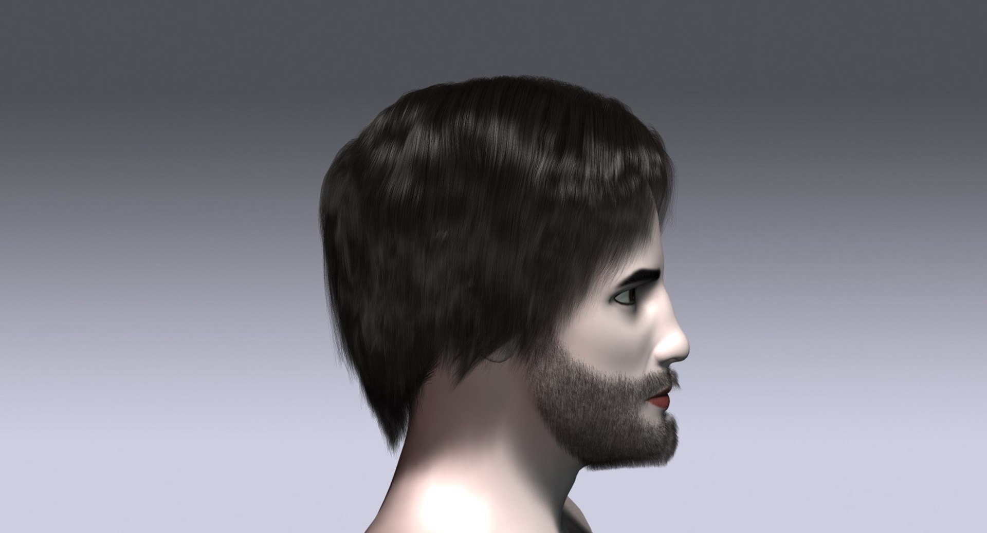 3d Virtual Hair 13