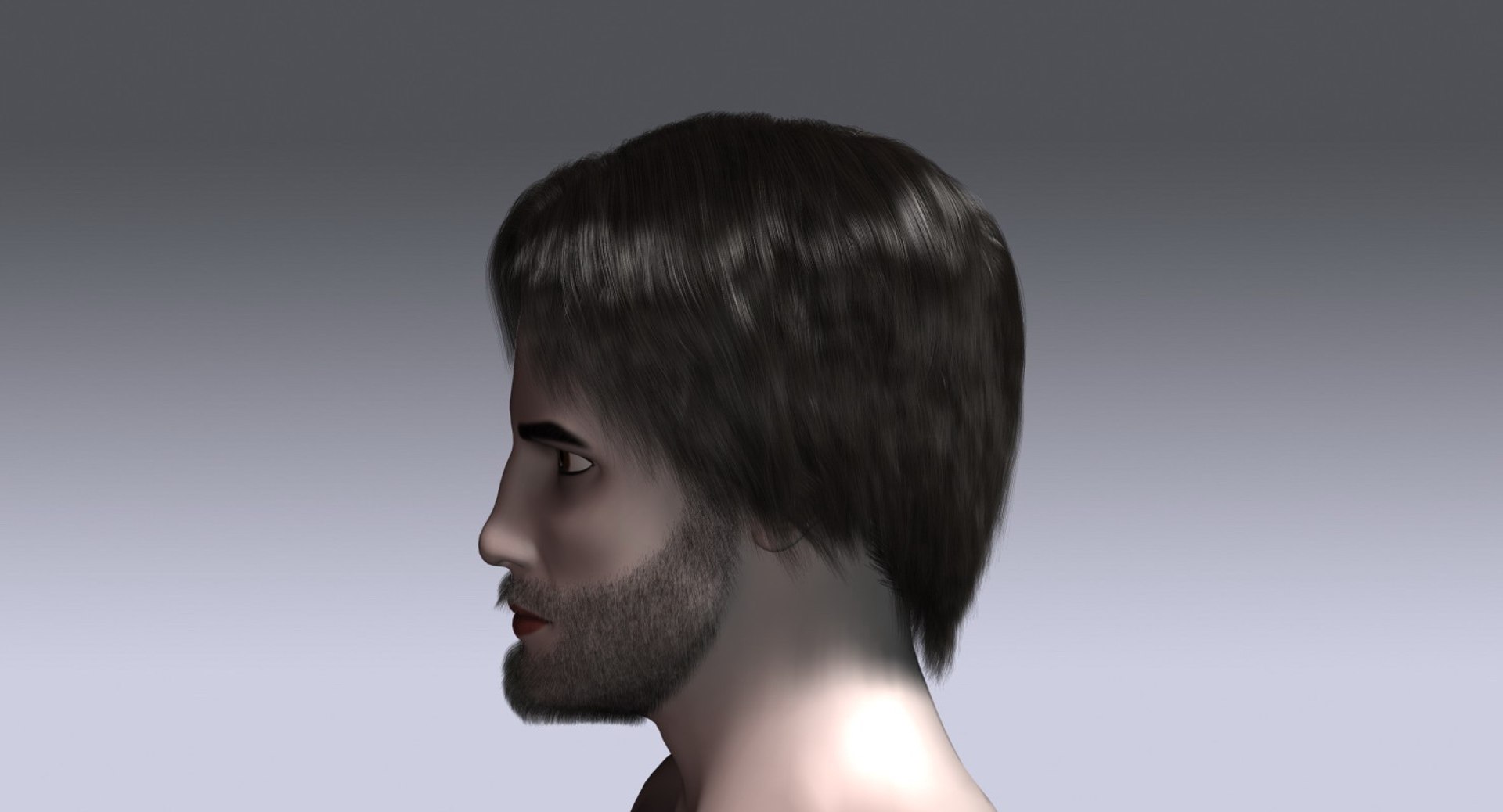 3d Virtual Hair 13