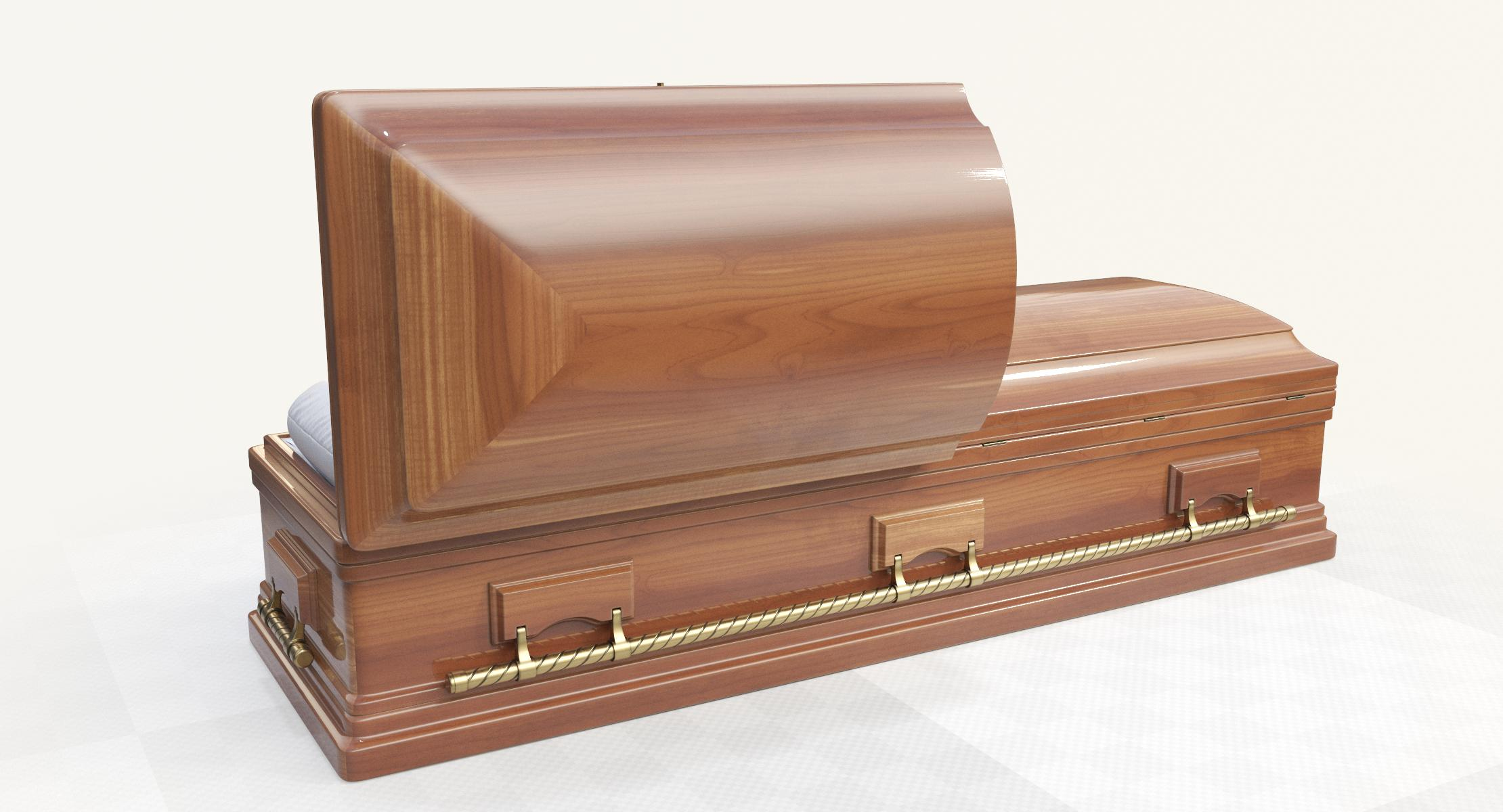 3D casket coffin - TurboSquid 1420441