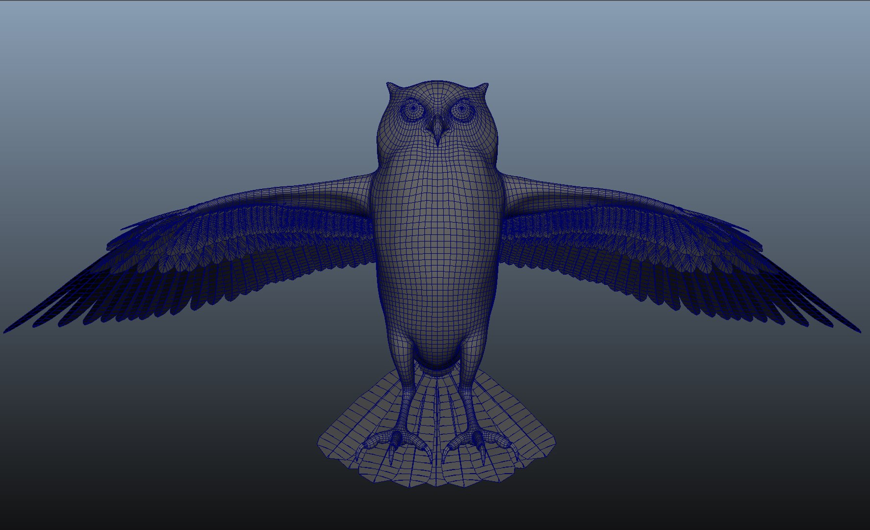 Owl Bird 3d Model