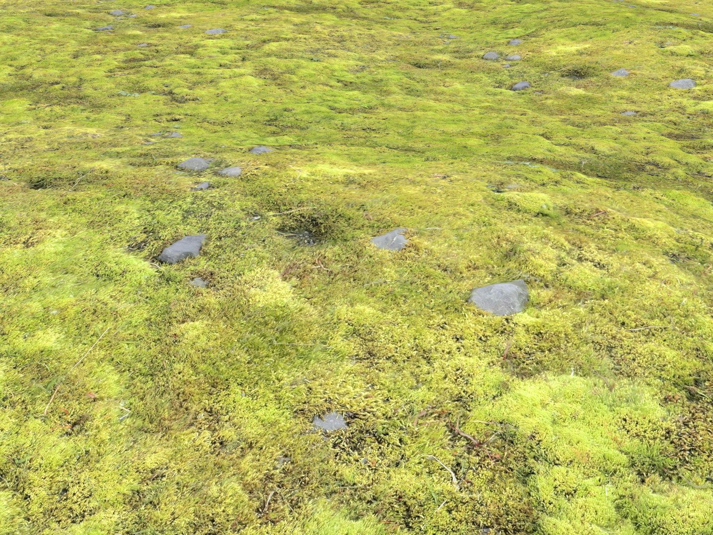 3D Ground Terrain Iceland - TurboSquid 1711146