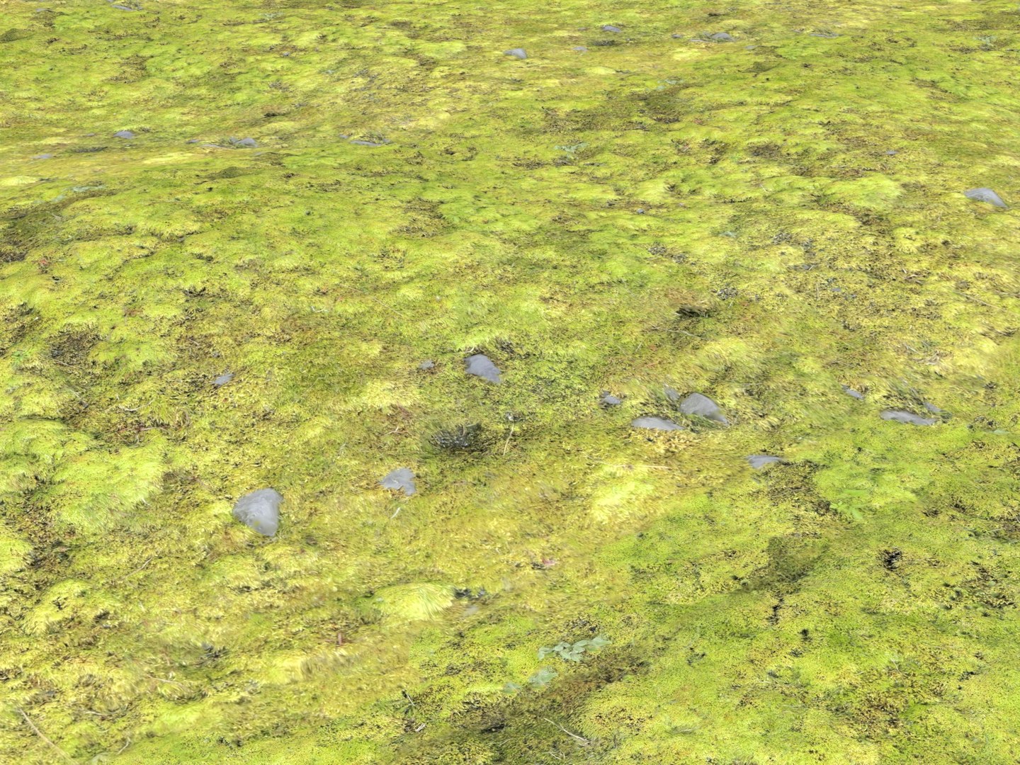 3D Ground Terrain Iceland - TurboSquid 1711146