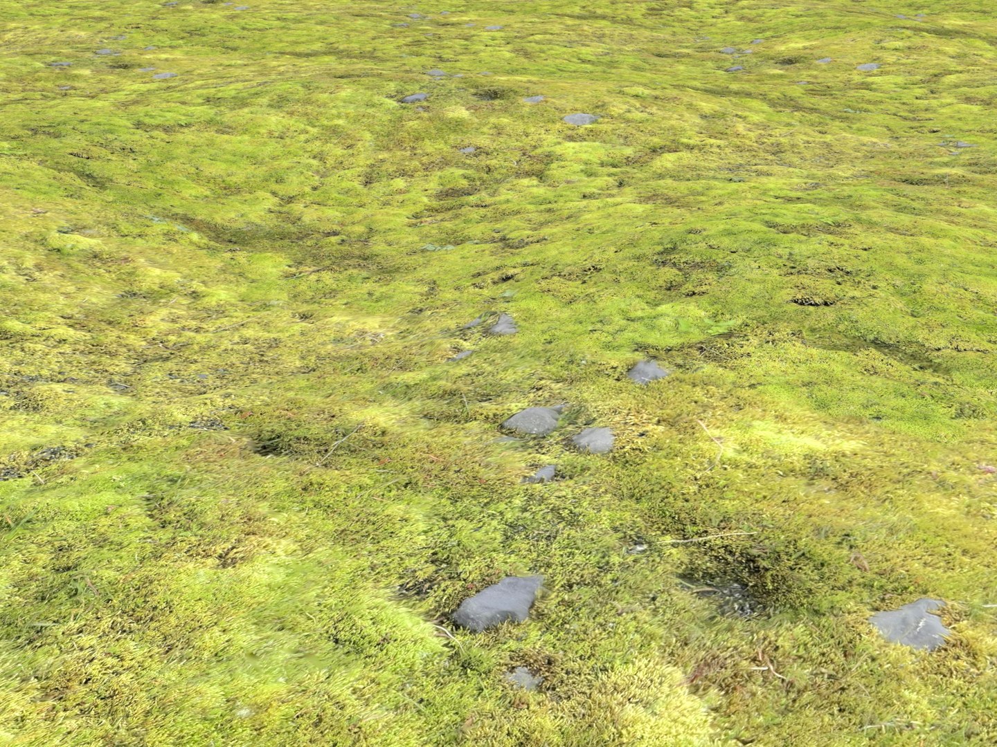 3D Ground Terrain Iceland - TurboSquid 1711146
