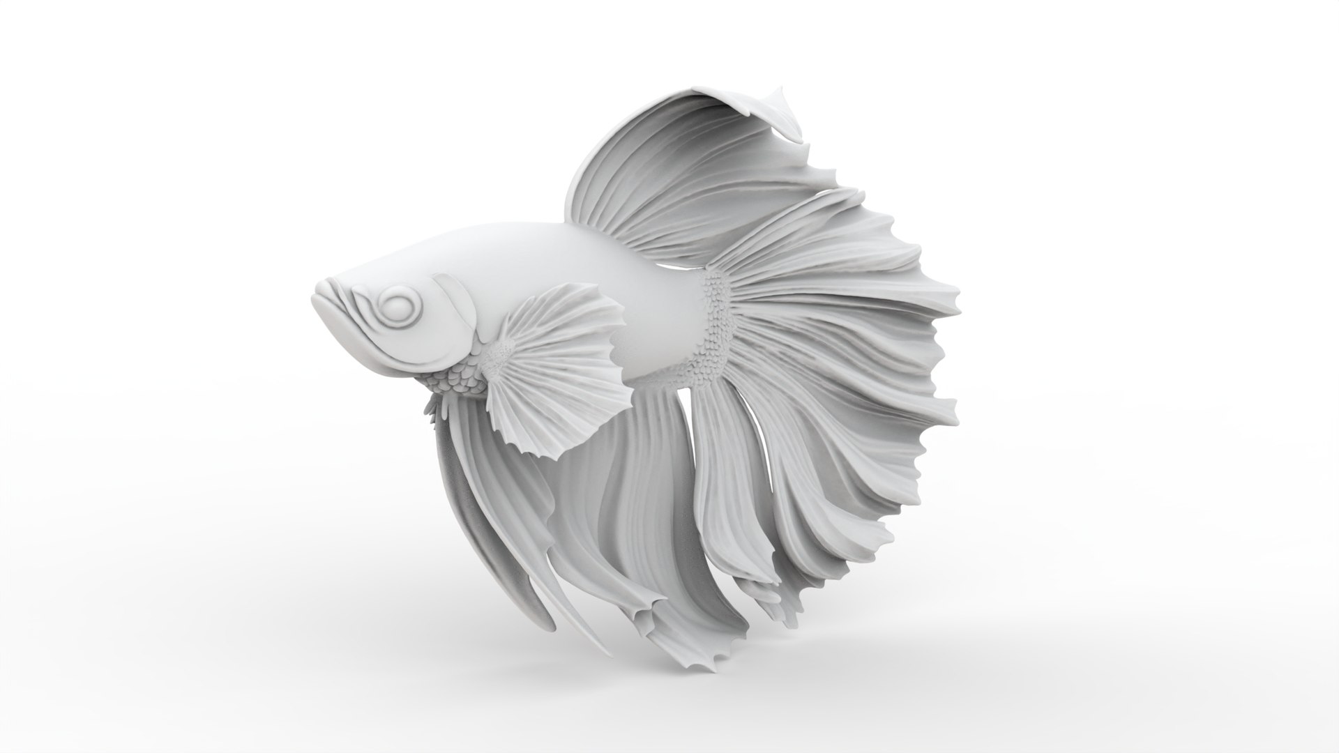 3D Betta Fish 3D Print Model - TurboSquid 2432562