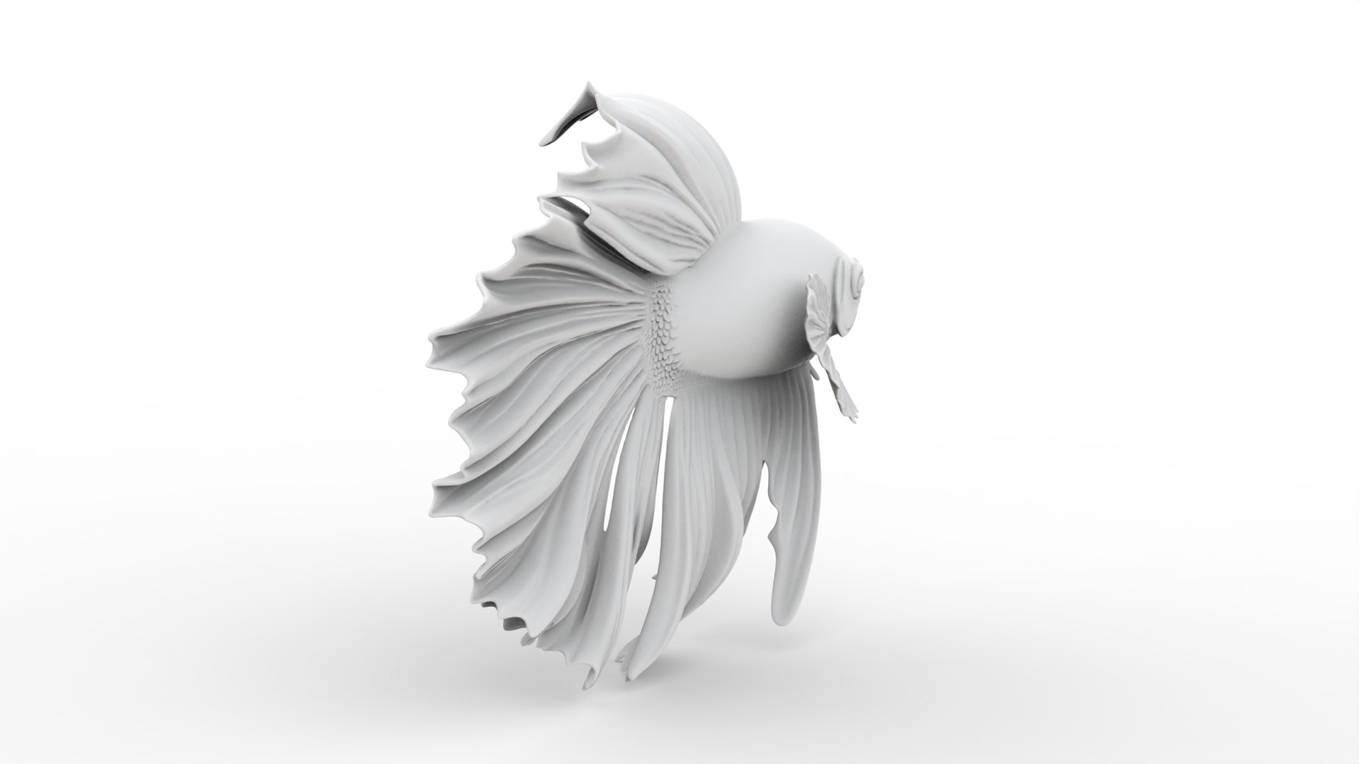 3D Betta Fish 3D Print Model - TurboSquid 2432562