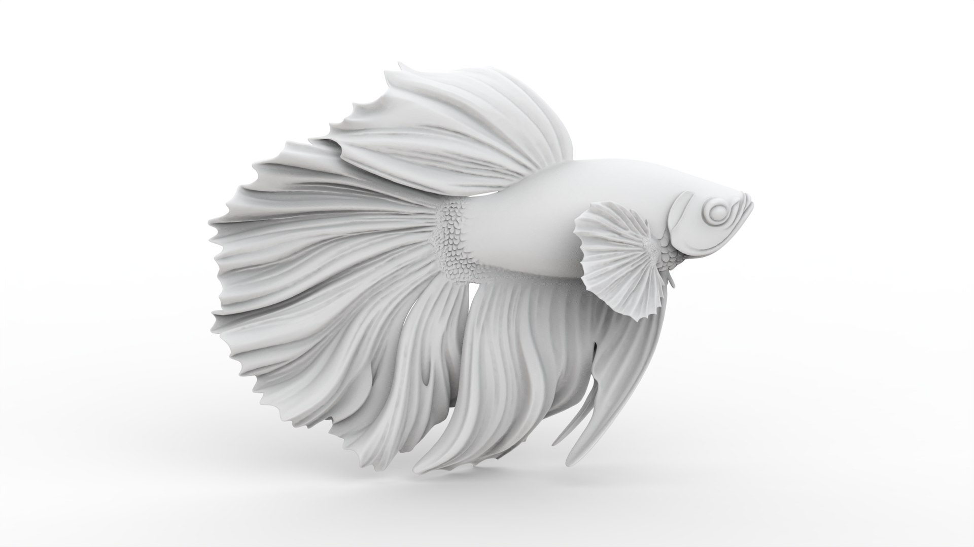 3D Betta Fish 3D Print Model - TurboSquid 2432562