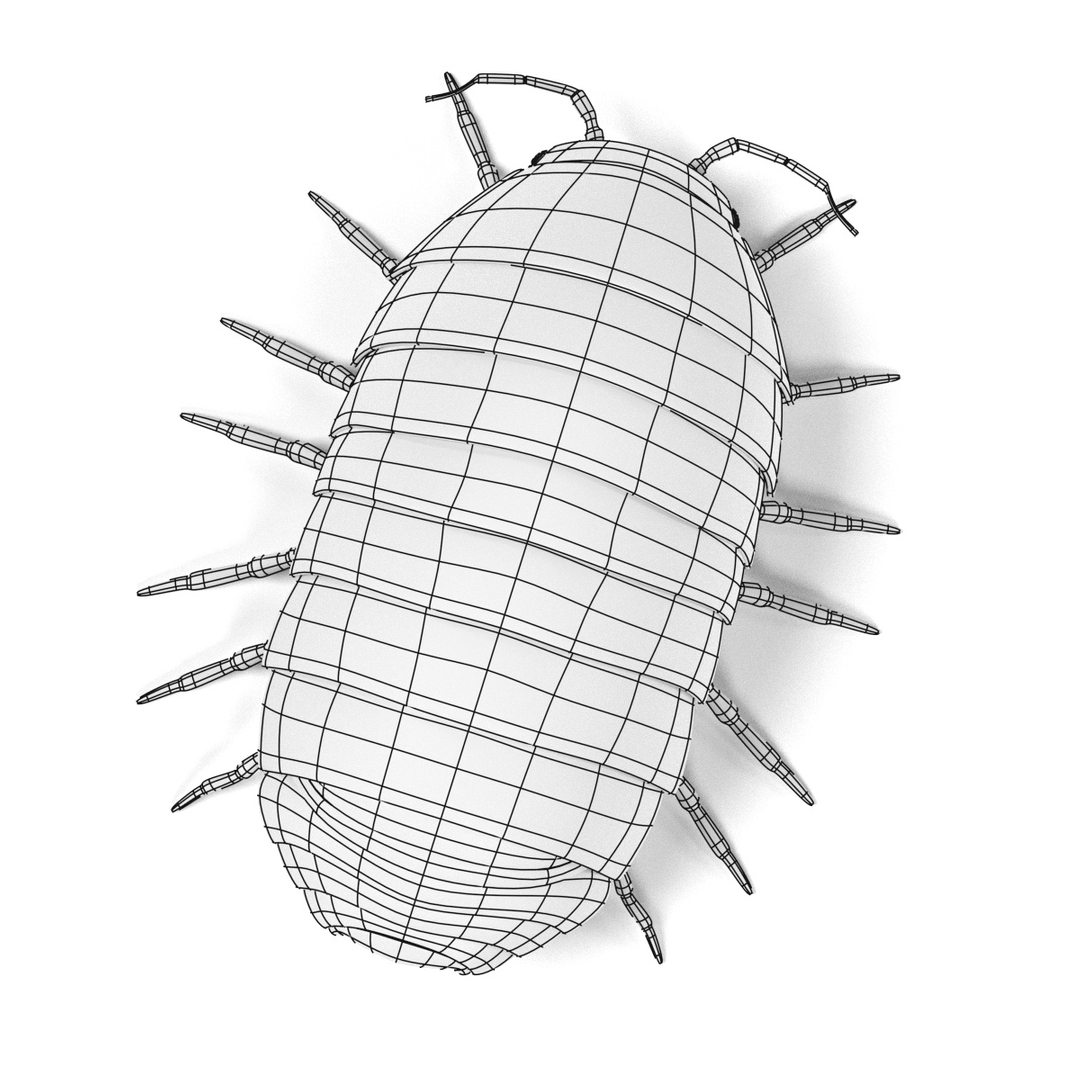armadillidium vulgare fbx
