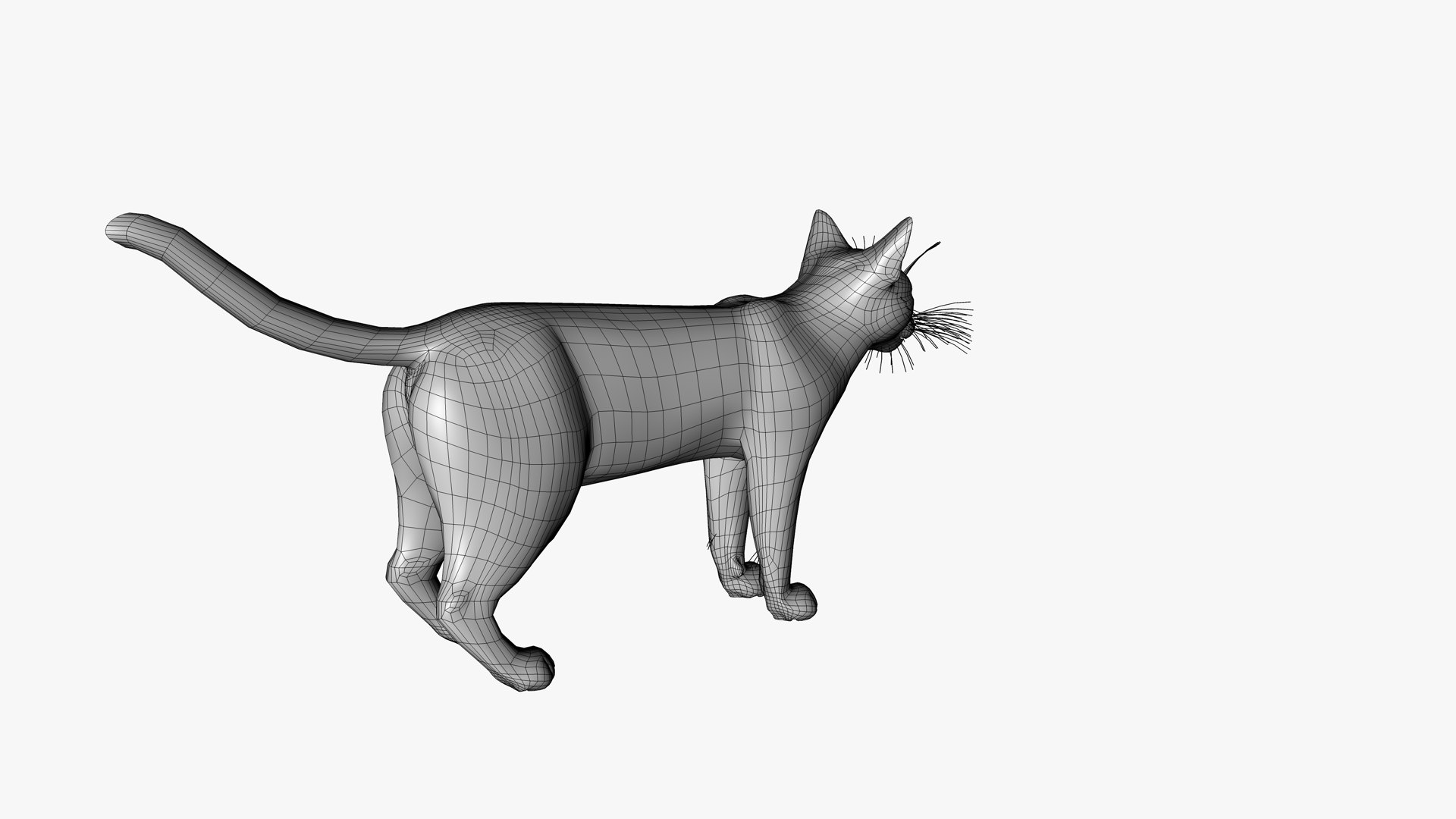 Cat Female Black 3D Model - TurboSquid 2136936