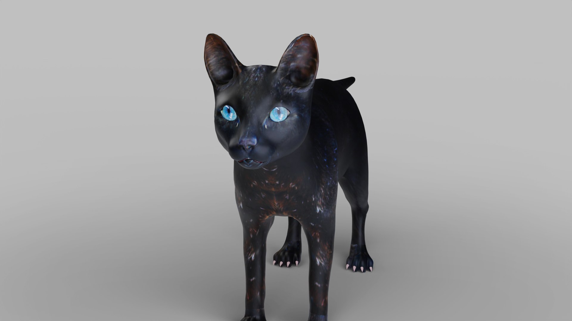 Cat Black NO Rigged In Blender 3D - TurboSquid 1984137