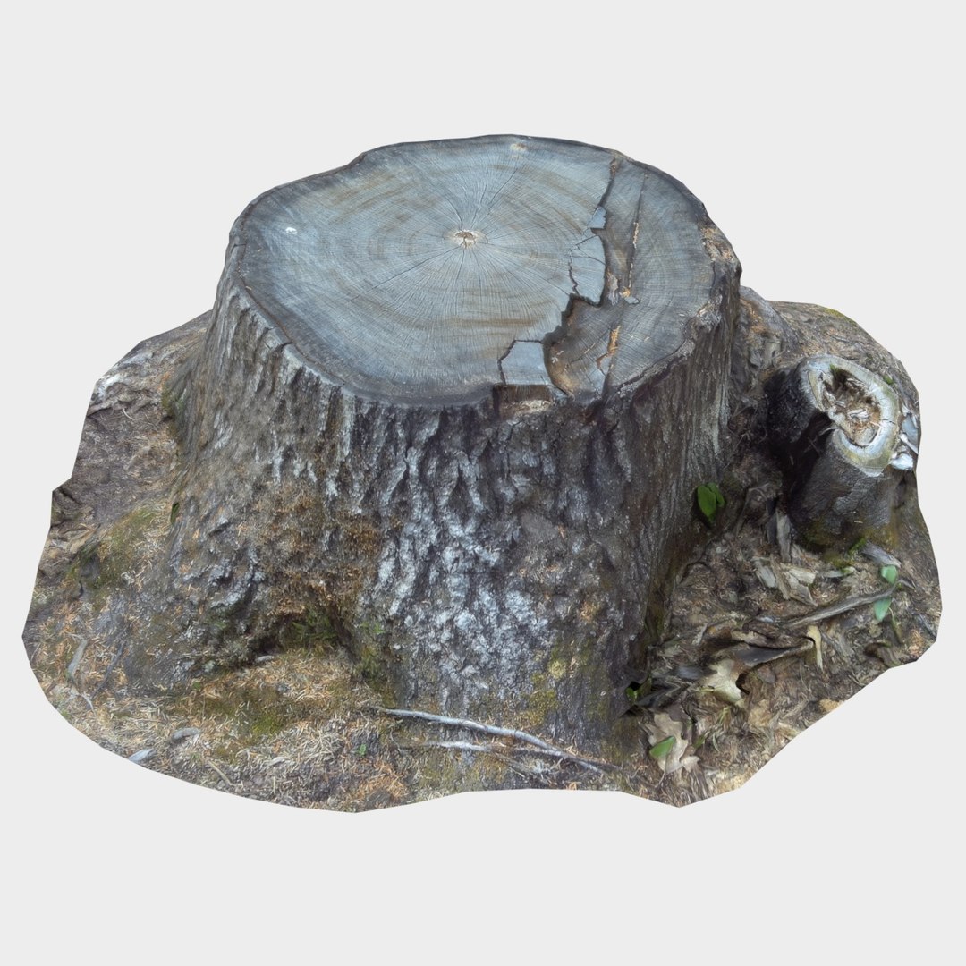Tree Stump 3D Model - TurboSquid 1295073