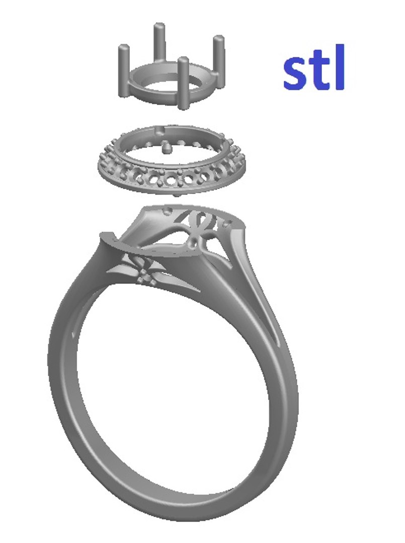 3d Ring Model