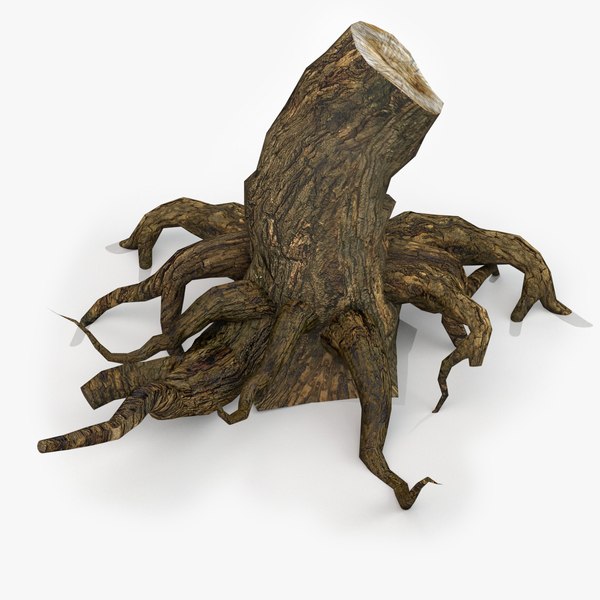 tree roots 3d model