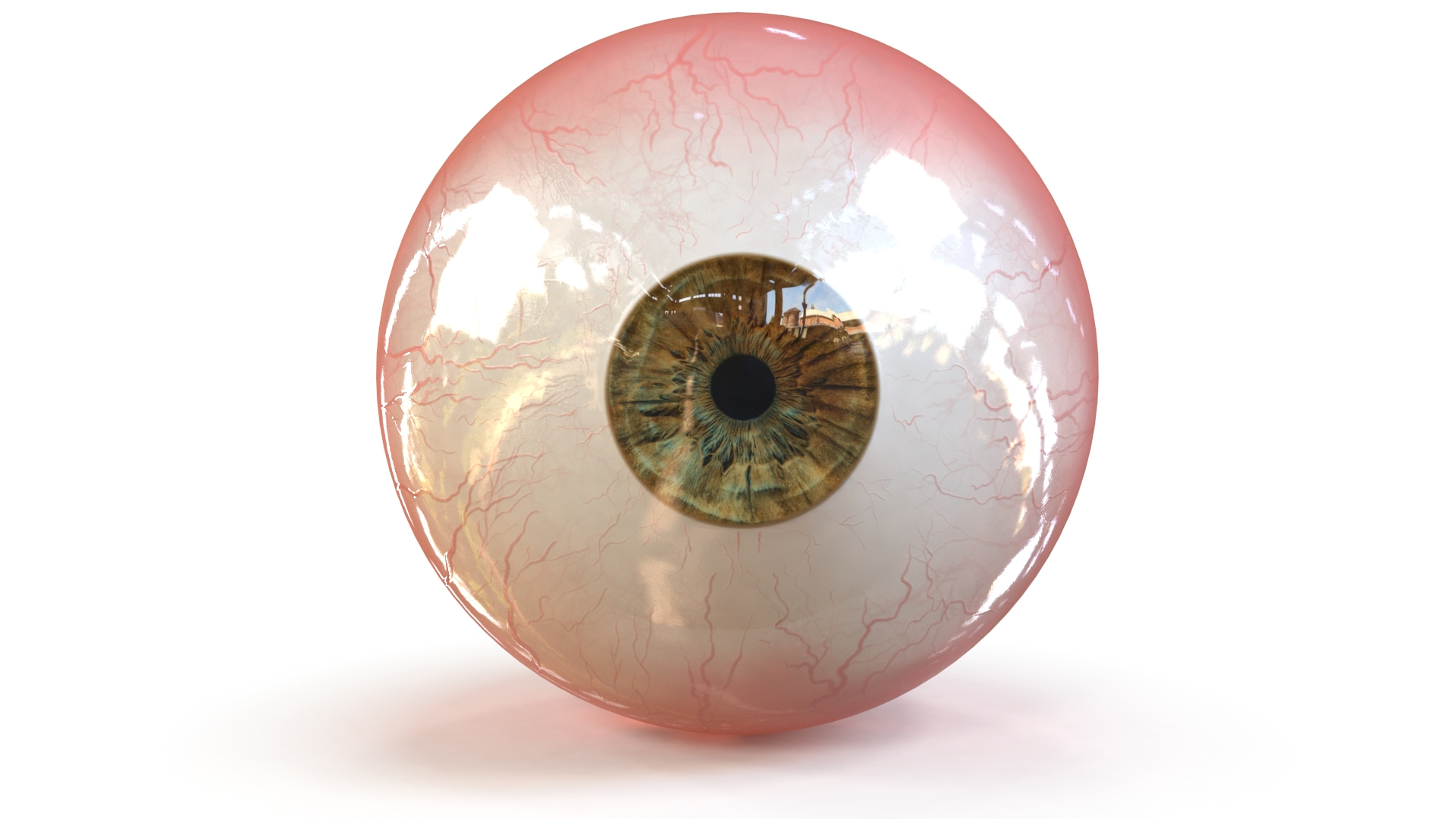 3D Realistic Human Eye V01 - TurboSquid 2338042