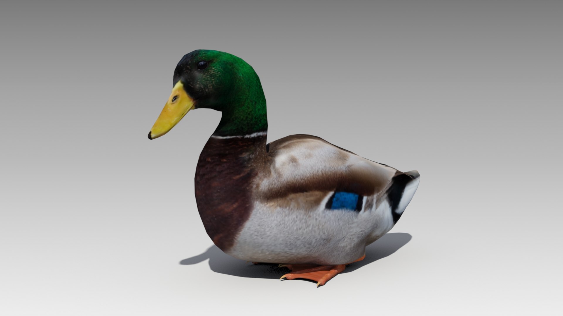 3D Mallard Duck - TurboSquid 1625342