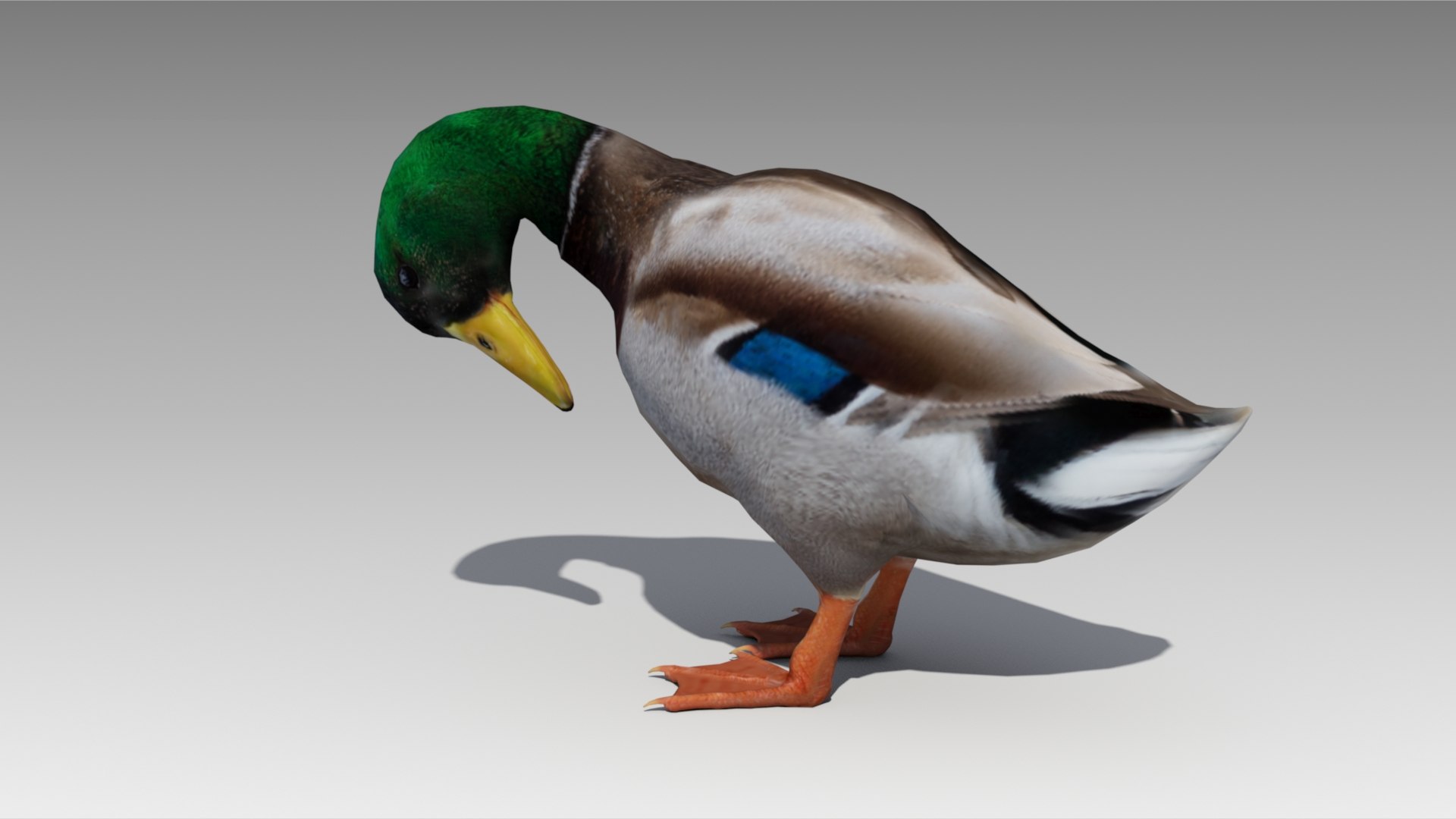 3D Mallard Duck - TurboSquid 1625342