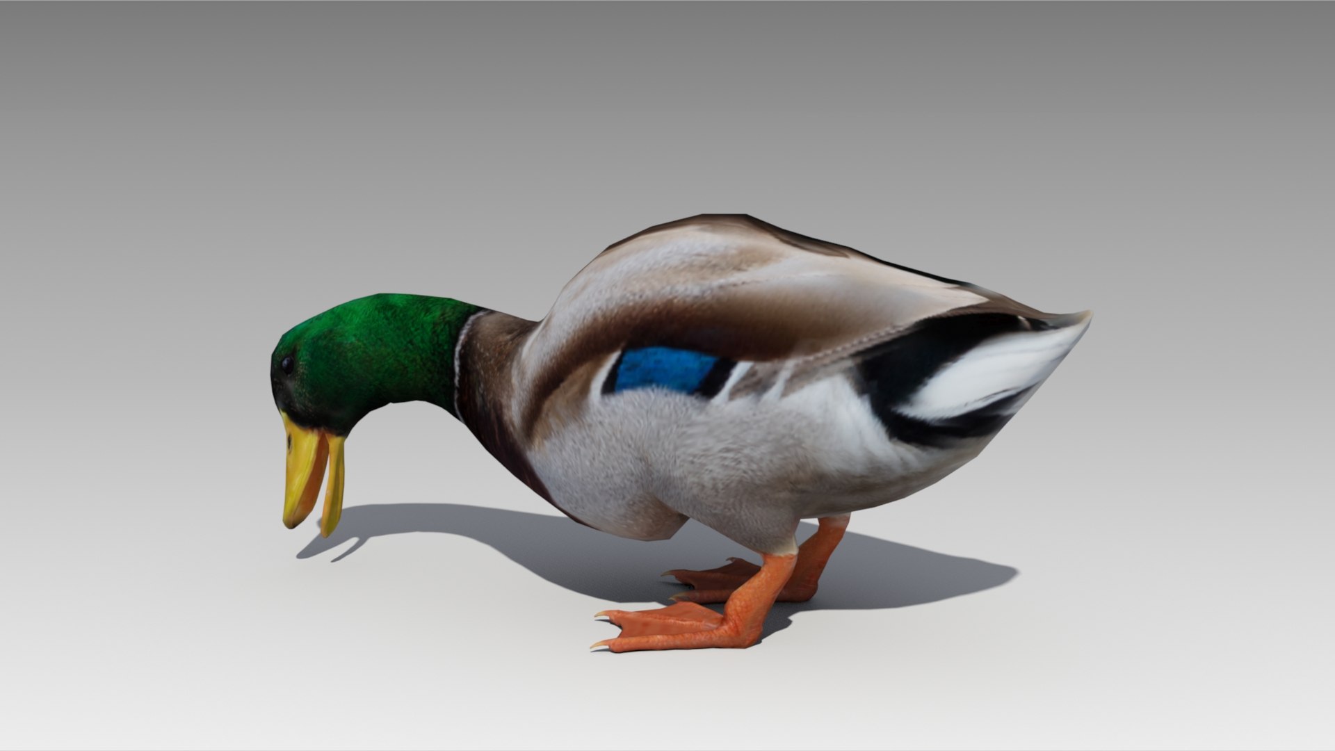 3D Mallard Duck - TurboSquid 1625342