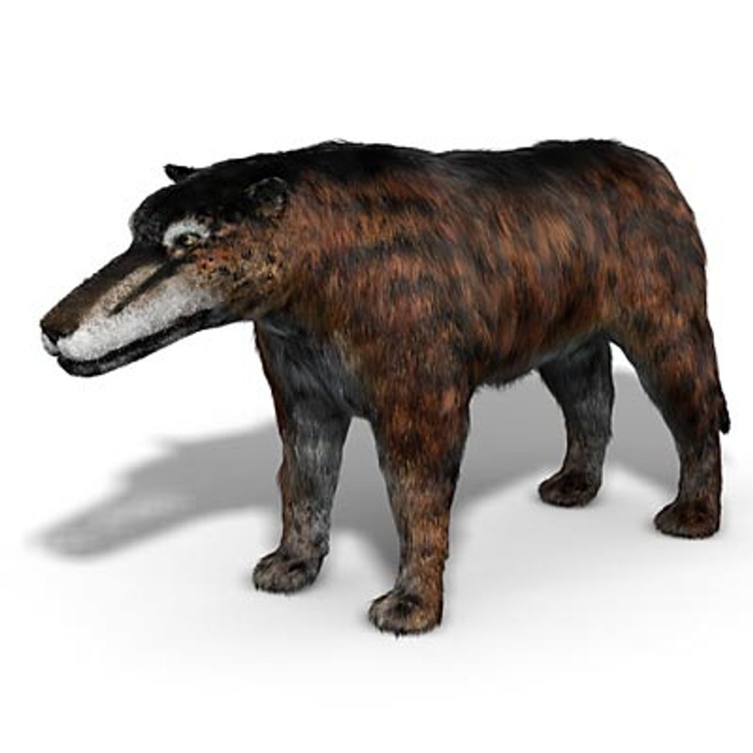 3ds Max Andrewsarchus Animal Prehistoric