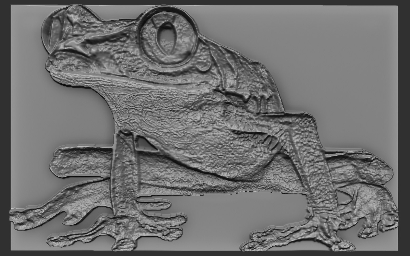 3D Frog Relief - TurboSquid 1807436