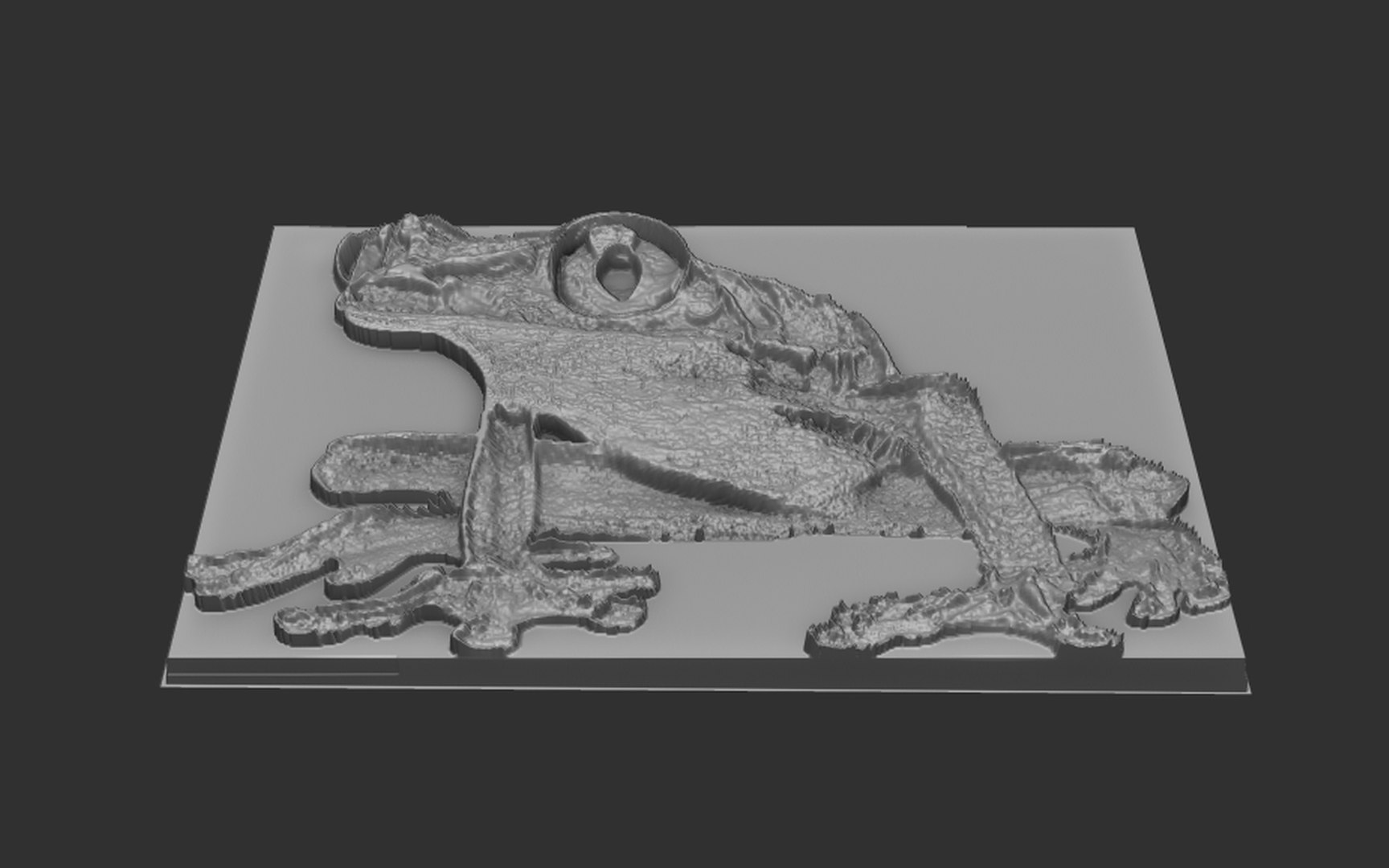 3D Frog Relief - TurboSquid 1807436