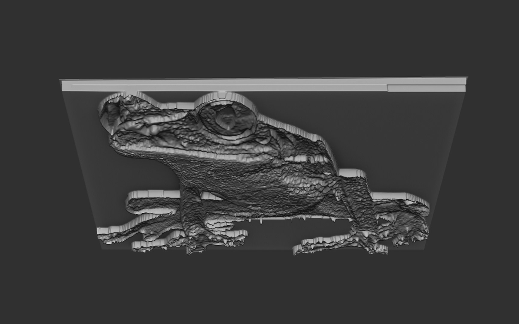 3D Frog Relief - TurboSquid 1807436