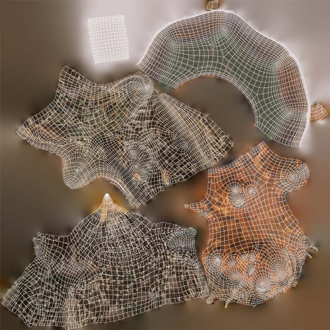 Common Starling Sturnus Vulgaris Remastered Model - TurboSquid 2359498