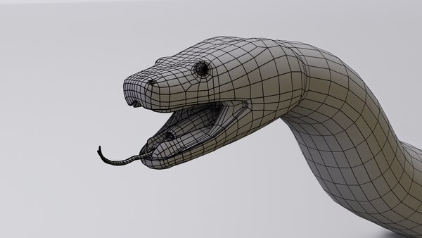 Burmese python animation 3D model - TurboSquid 1264730