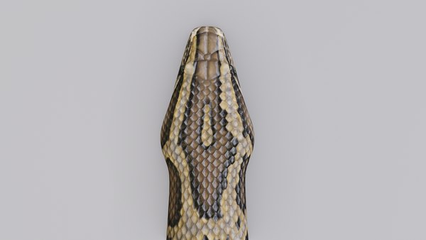 Burmese python animation 3D model - TurboSquid 1264730