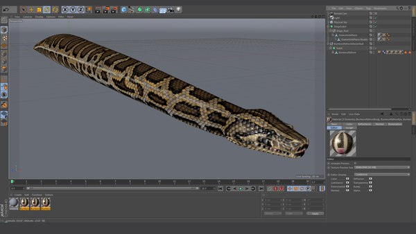 Burmese python animation 3D model - TurboSquid 1264730