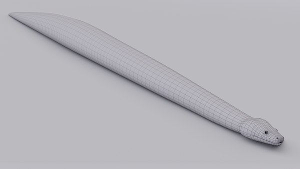 Burmese python animation 3D model - TurboSquid 1264730