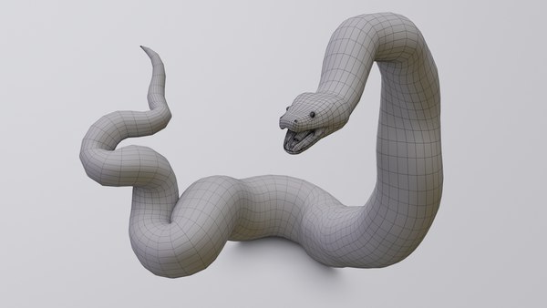 Burmese python animation 3D model - TurboSquid 1264730