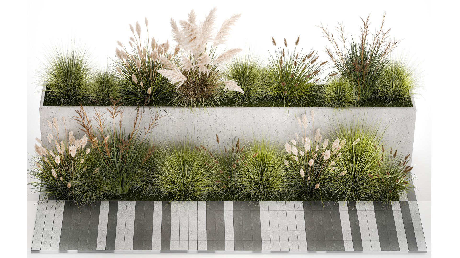 3D Bushes For Landscaping With Pampas Grass 1169 - TurboSquid 2006442