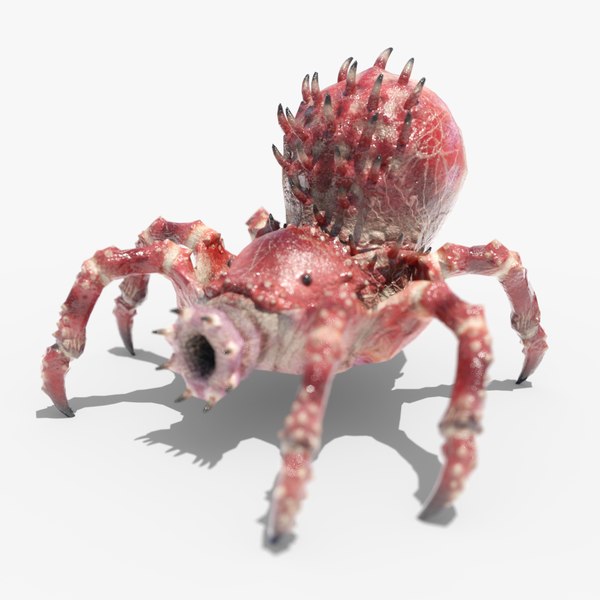 3D model spider monster rigged ready - TurboSquid 1659431