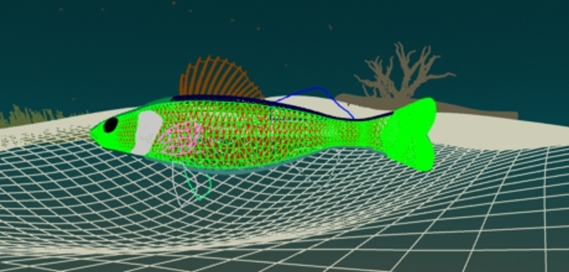 Walleye Fish 3d Model