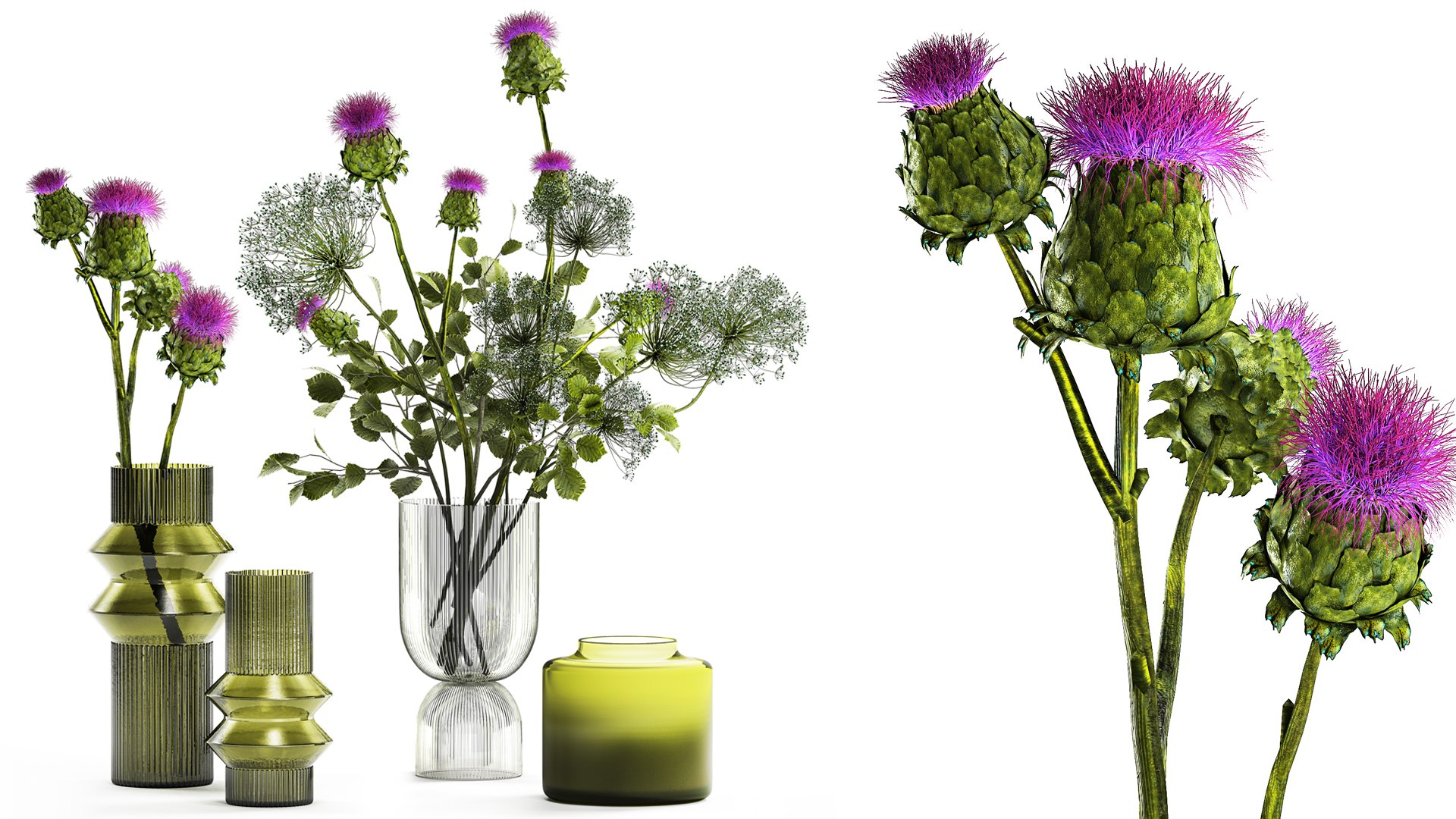 Beautiful bouquet of Heracleum thorn Thistle in a glass vase 294 3D ...