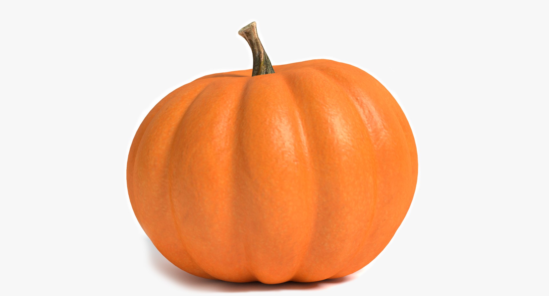 3d Pumpkin